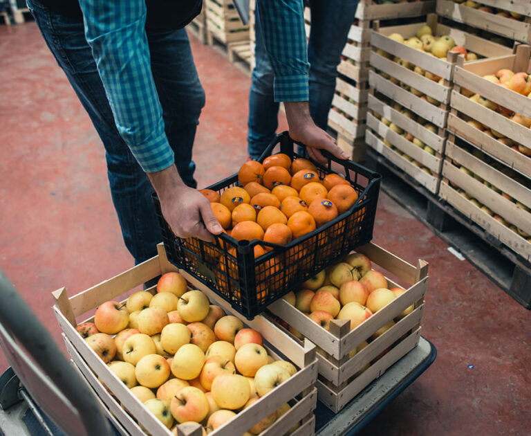 F-920 Check It! Gas Analyzer - Felix Instruments