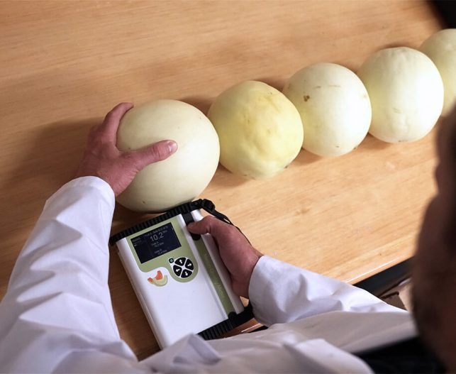 F-751 Melon Quality Meter - Tools for Applied Food Science