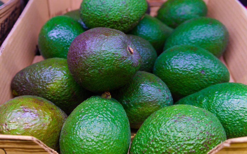 Home - Felix Instruments