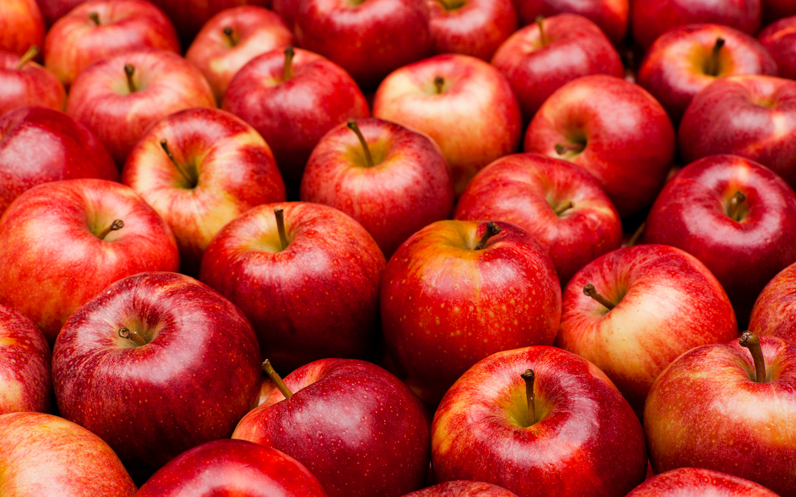 Home - Felix Instruments