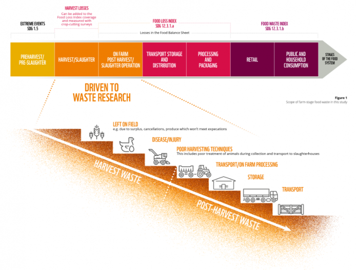 Value Addition to Reduce Post-Harvest Losses - Felix Instruments