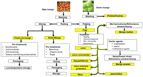 Improving Mango Quality - Felix Instruments