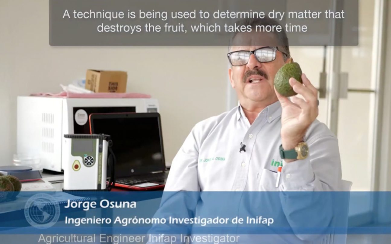 IICA: NIR Technology for Assessing Avocado Maturity - Felix Instruments