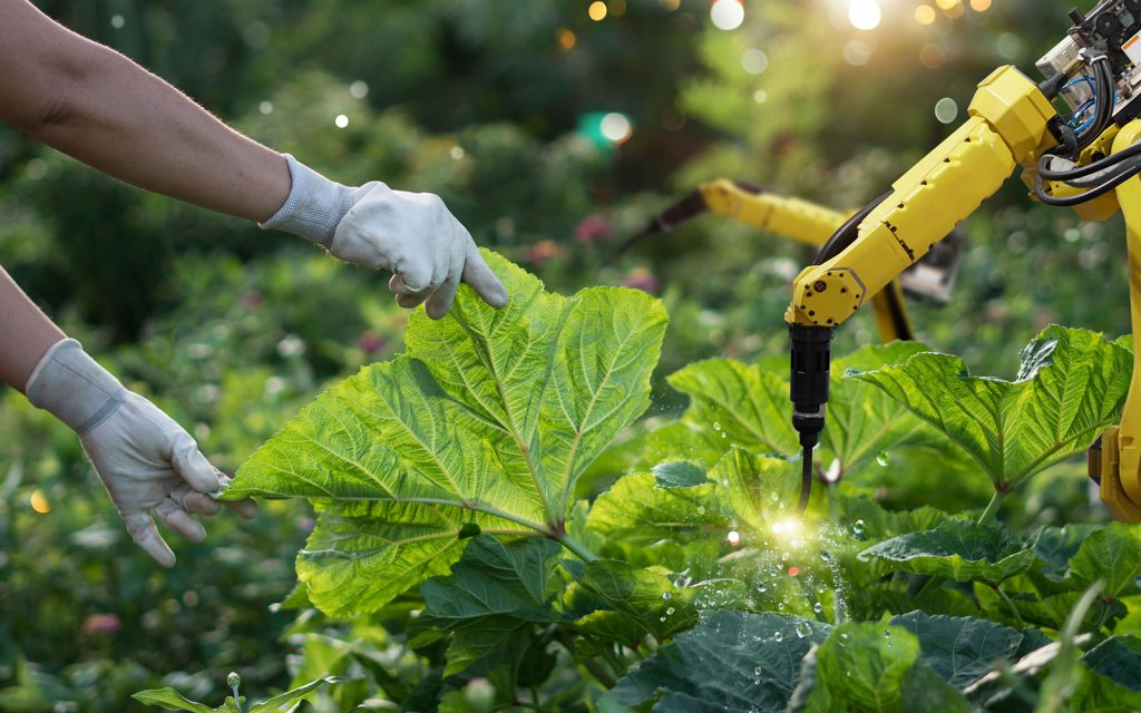 How AI Analytics is Transforming Fruit Quality Control and Monitoring ...