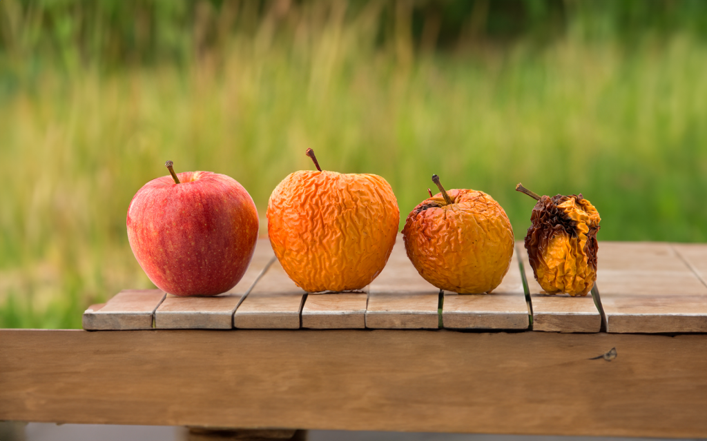 The Impact Transpiration Has on Fruit Quality - Felix Instruments